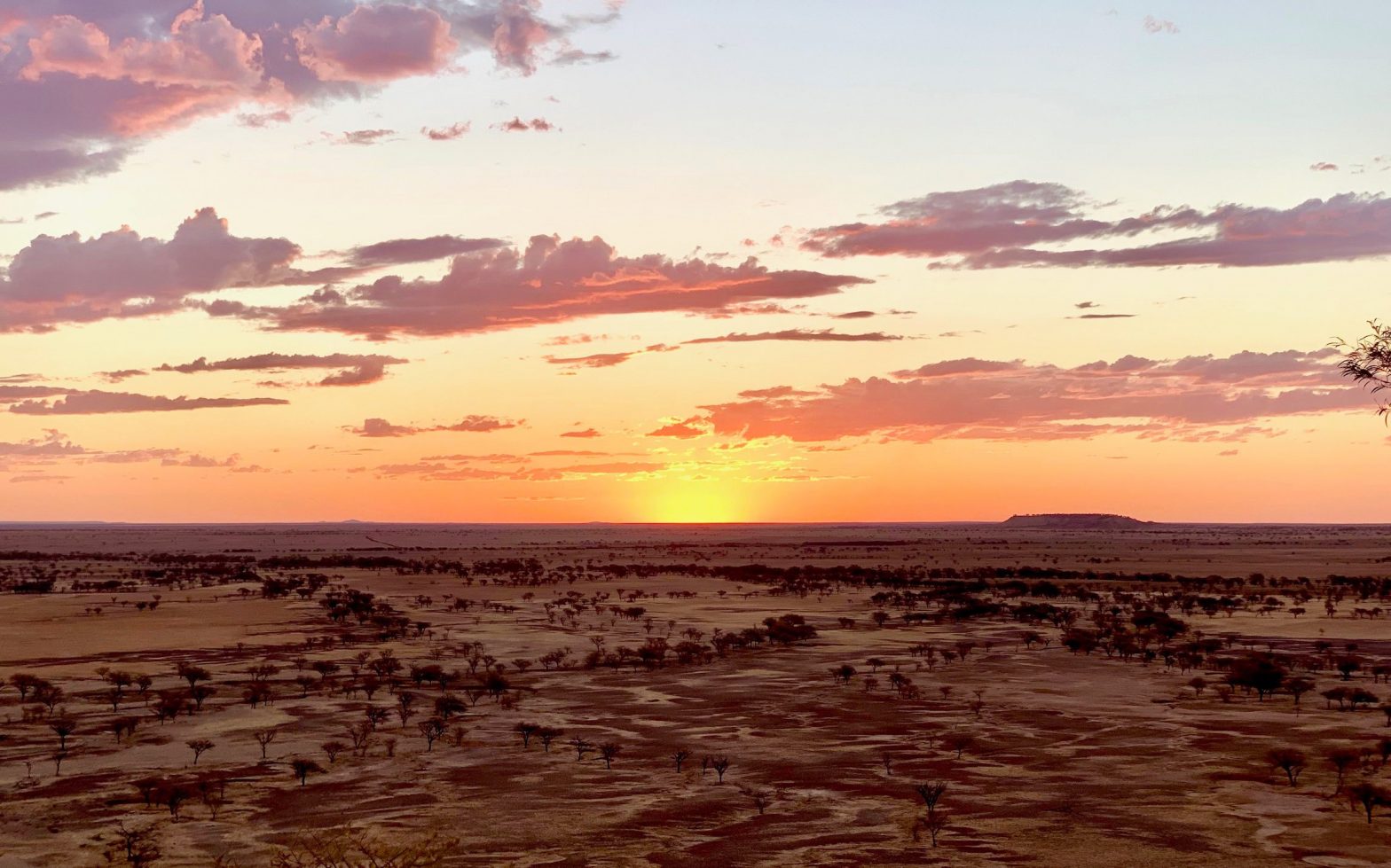 Rangelands Outback Camp - The ultimate Outback experience